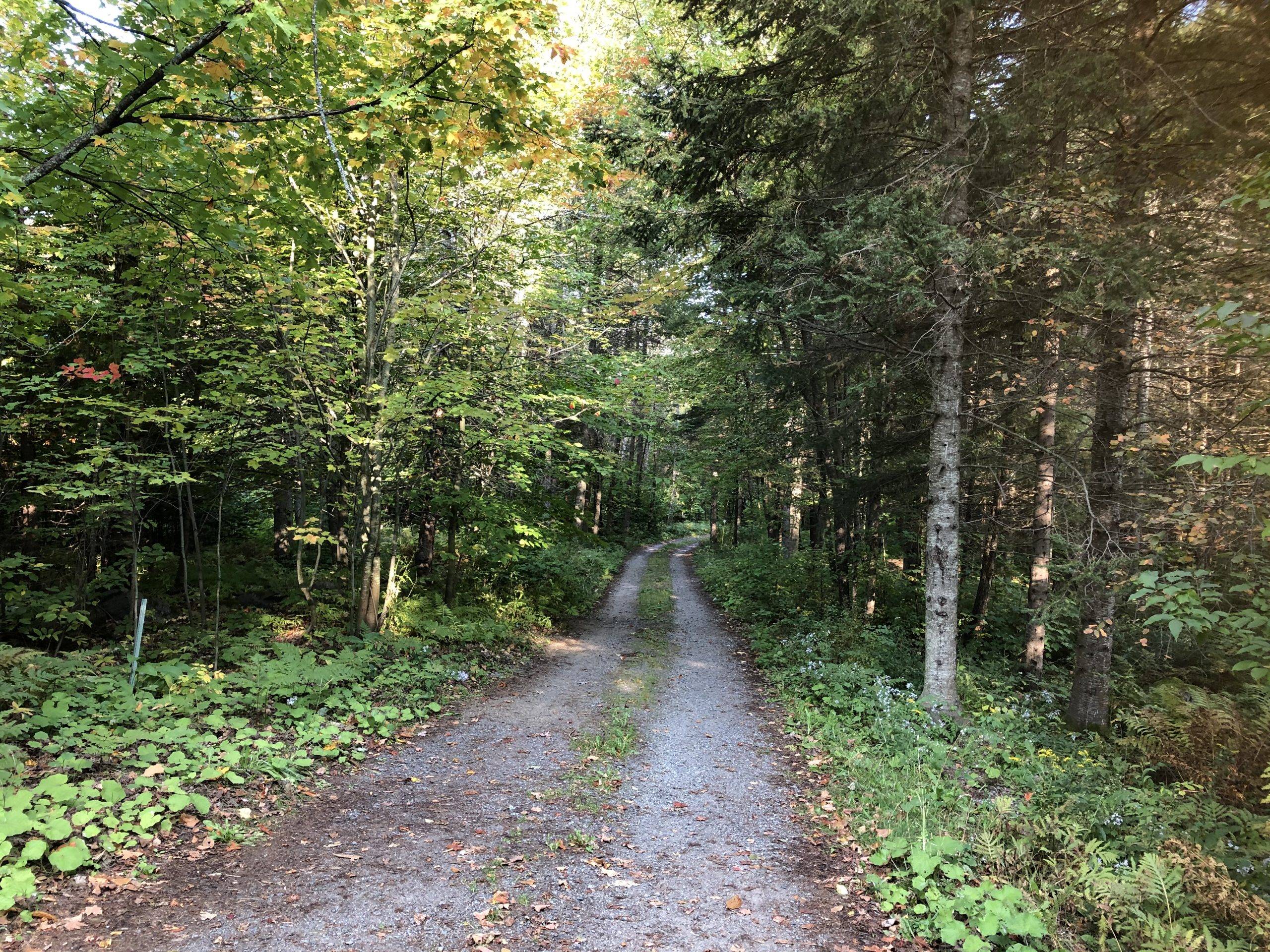 Le chemin le moins fréquenté - Michelle Bock